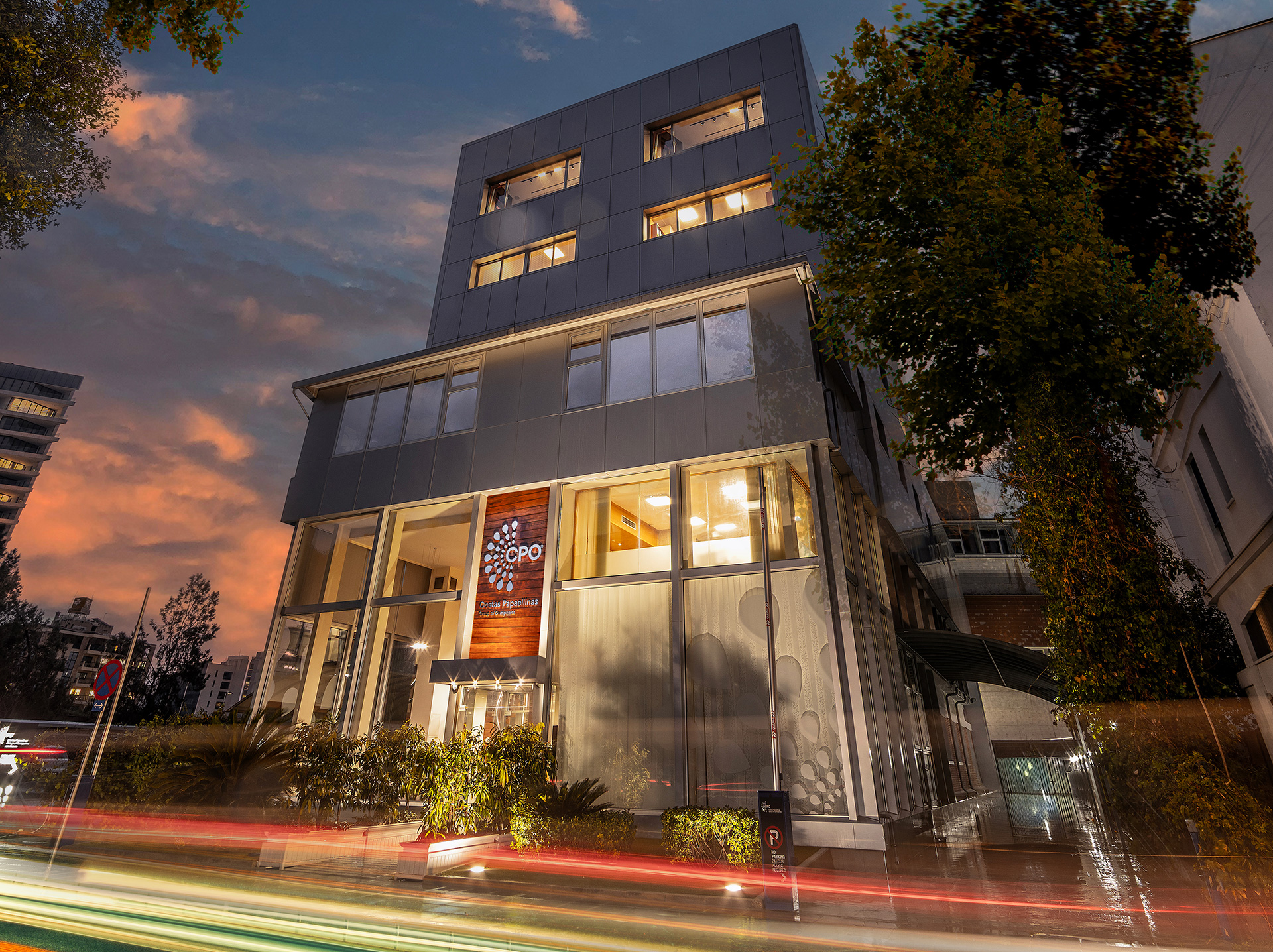 History - CPO Costas Papaellinas Organization